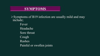 B19 PARVOVIRUS (STRUCTURE, TRANSMISSION, REPLICATION, PATHOGENESIS ...