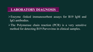 B19 PARVOVIRUS (STRUCTURE, TRANSMISSION, REPLICATION, PATHOGENESIS ...