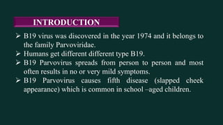 B19 PARVOVIRUS (STRUCTURE, TRANSMISSION, REPLICATION, PATHOGENESIS ...