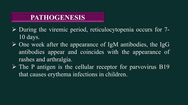 B19 PARVOVIRUS (STRUCTURE, TRANSMISSION, REPLICATION, PATHOGENESIS ...