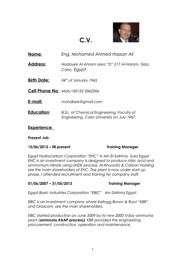 Mohamed Hassan CV 2 | PDF