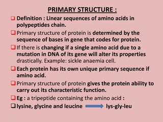 B1 & b2 energy + protein | PPT