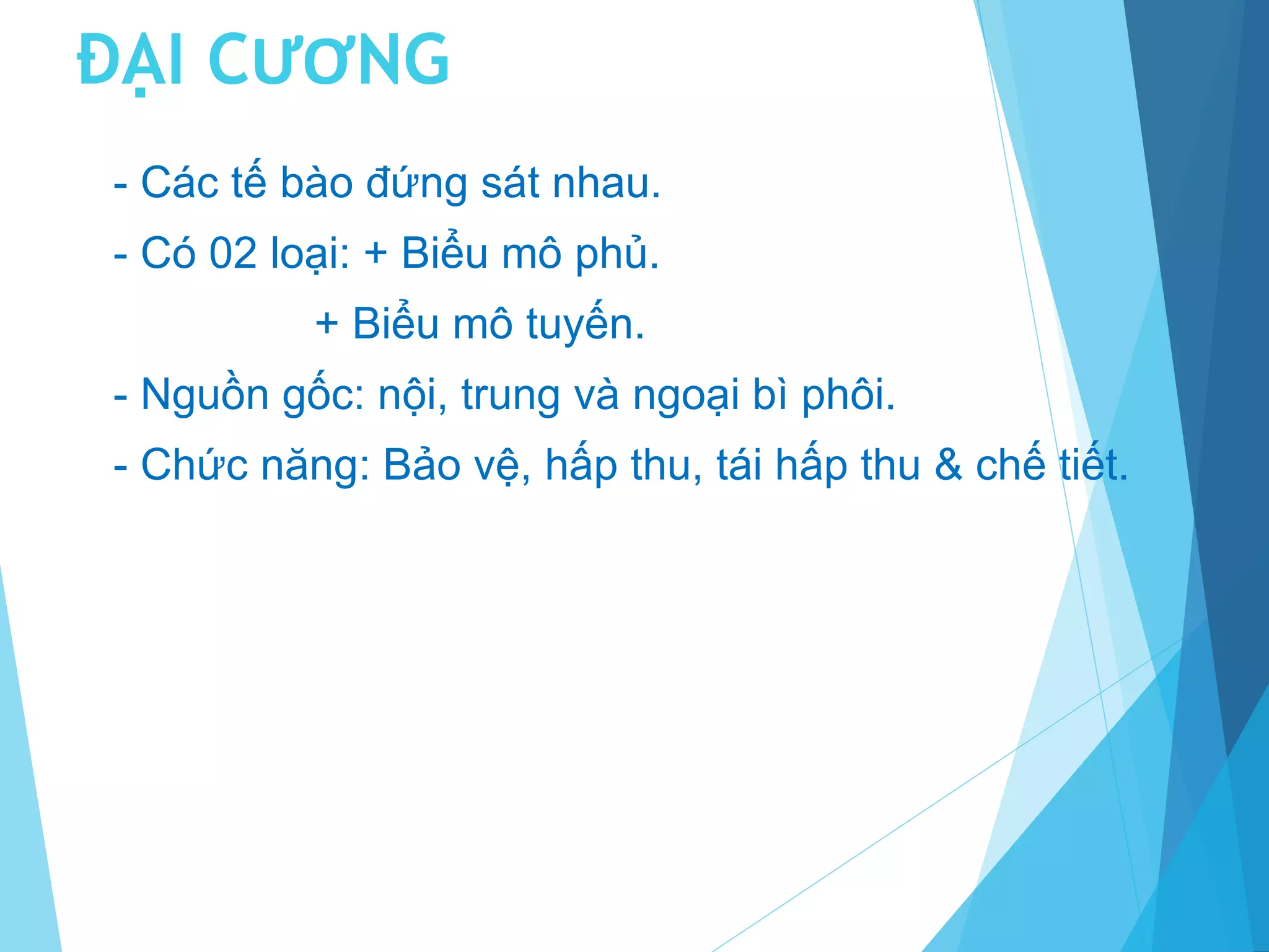 B1 BIEU MO - DHXN.ppt