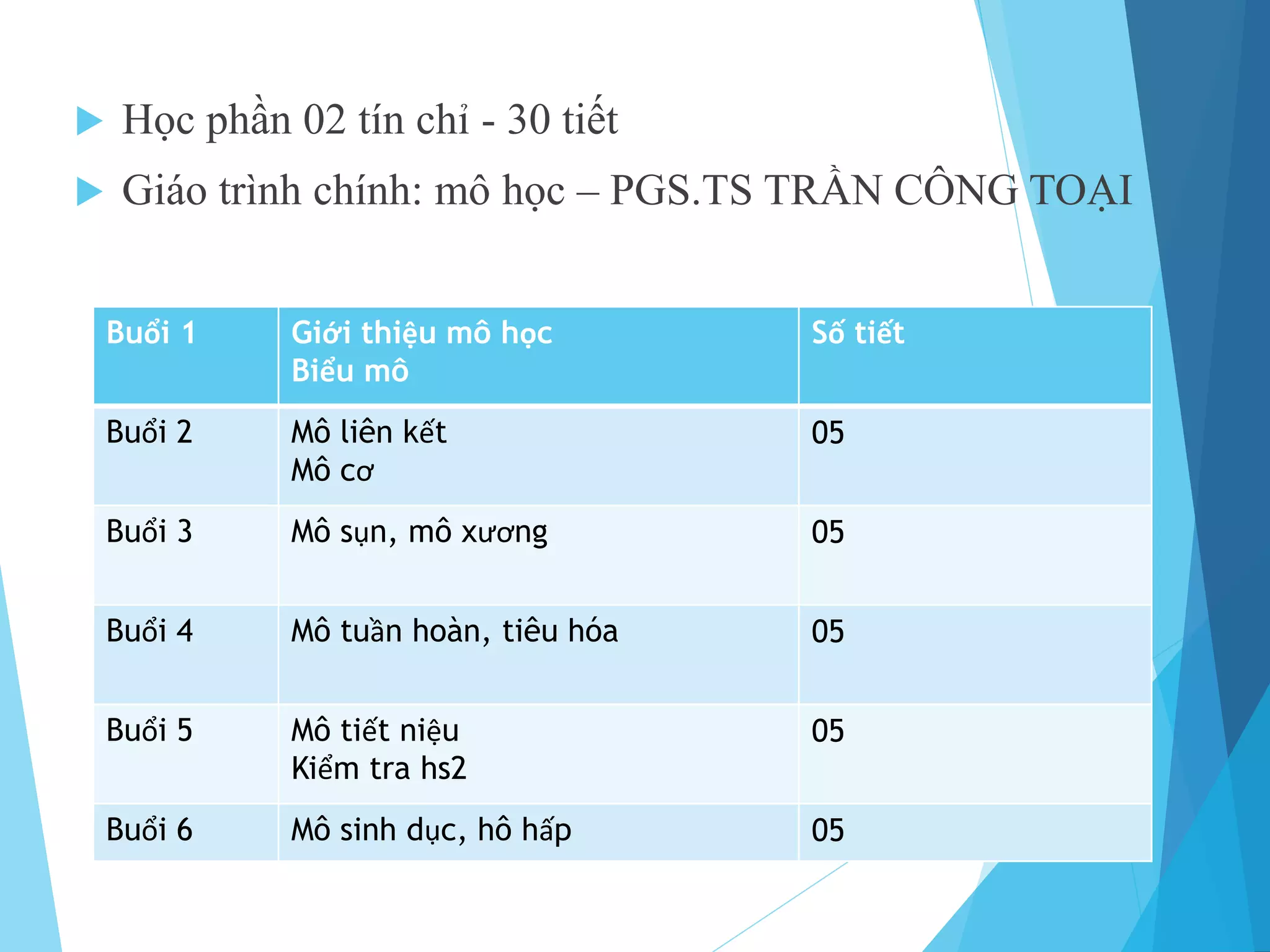 B1 BIEU MO - DHXN.ppt