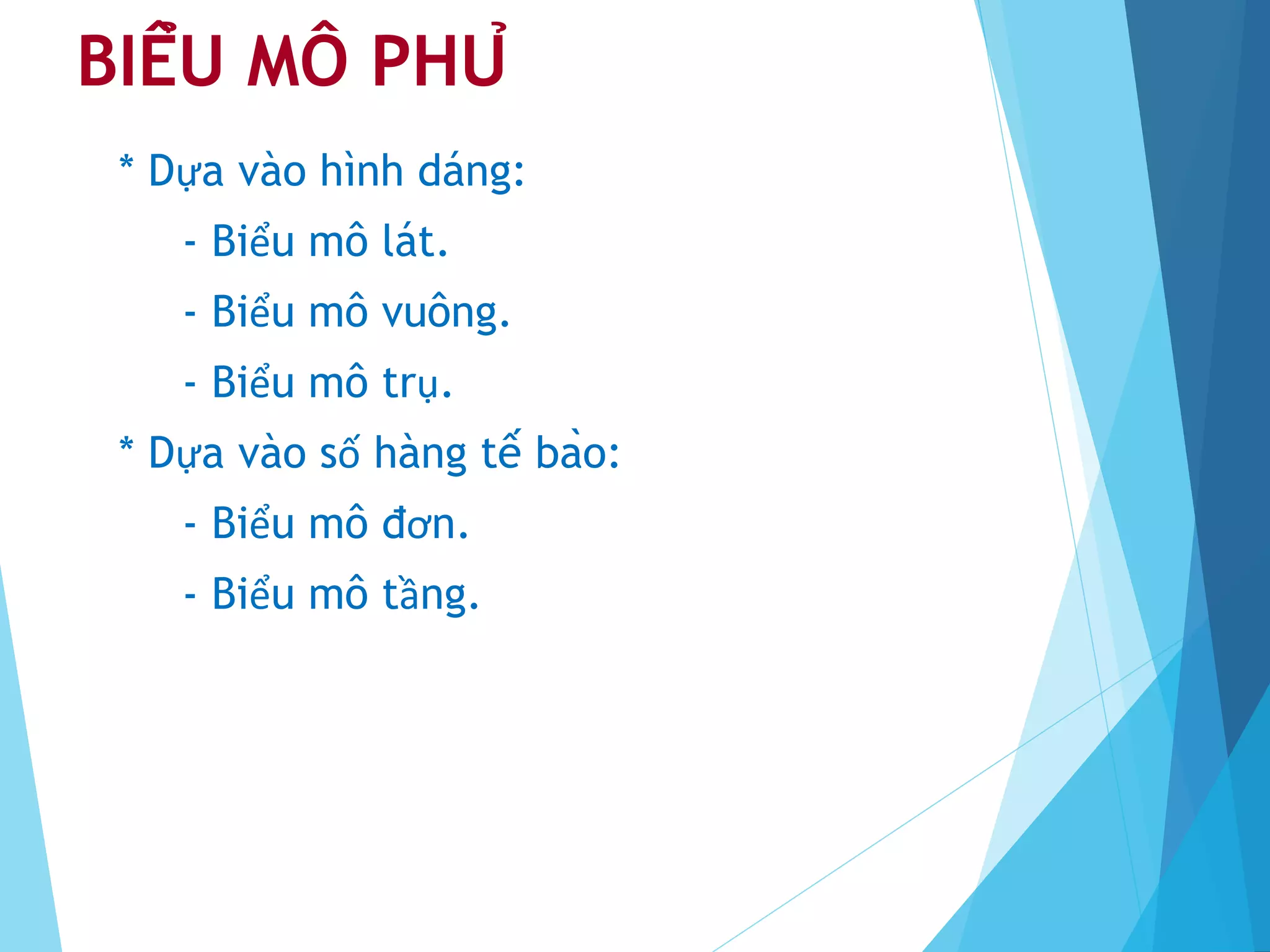 B1 BIEU MO - DHXN.ppt