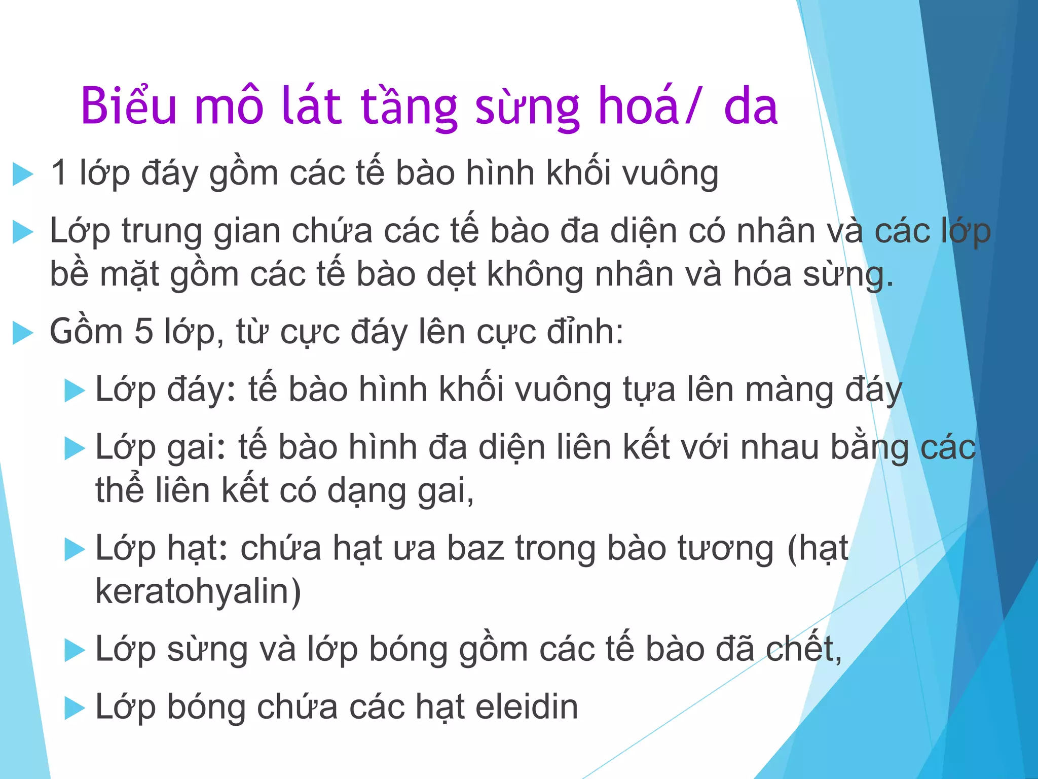 B1 BIEU MO - DHXN.ppt