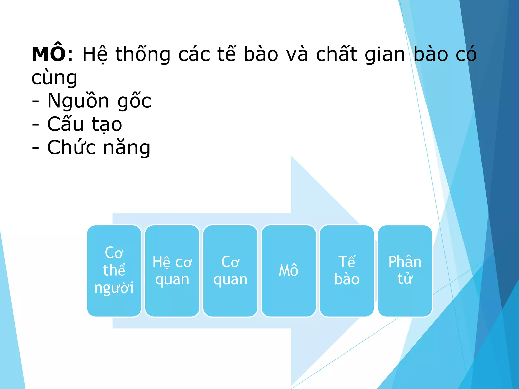 B1 BIEU MO - DHXN.ppt