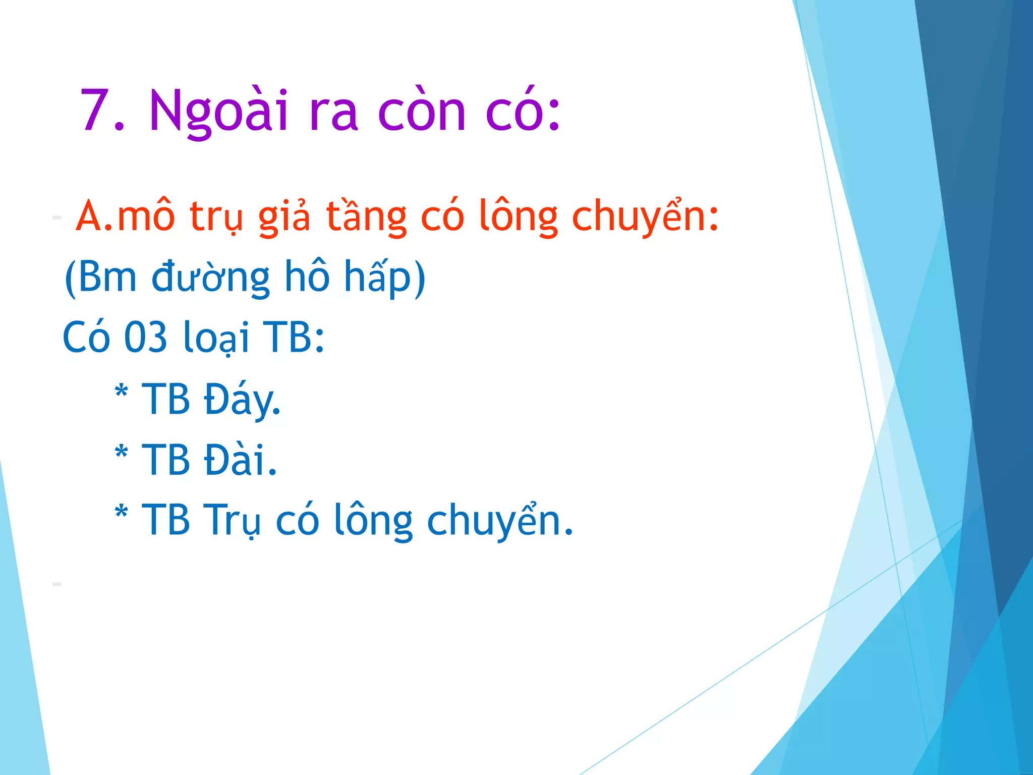 B1 BIEU MO - DHXN.ppt