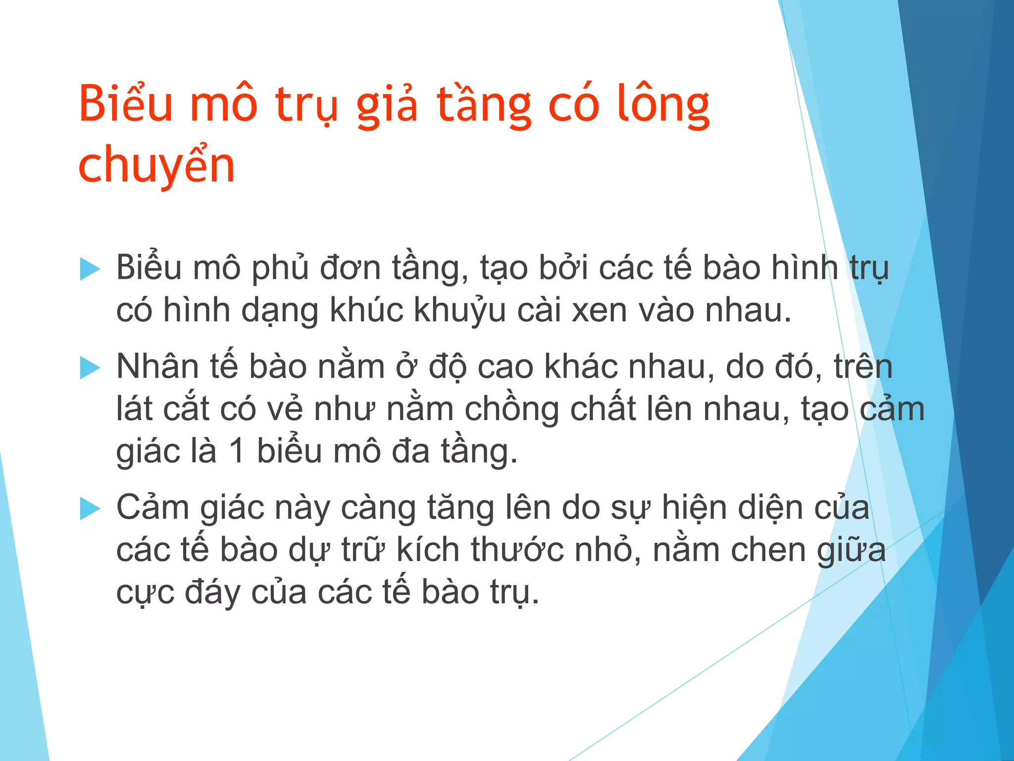 B1 BIEU MO - DHXN.ppt