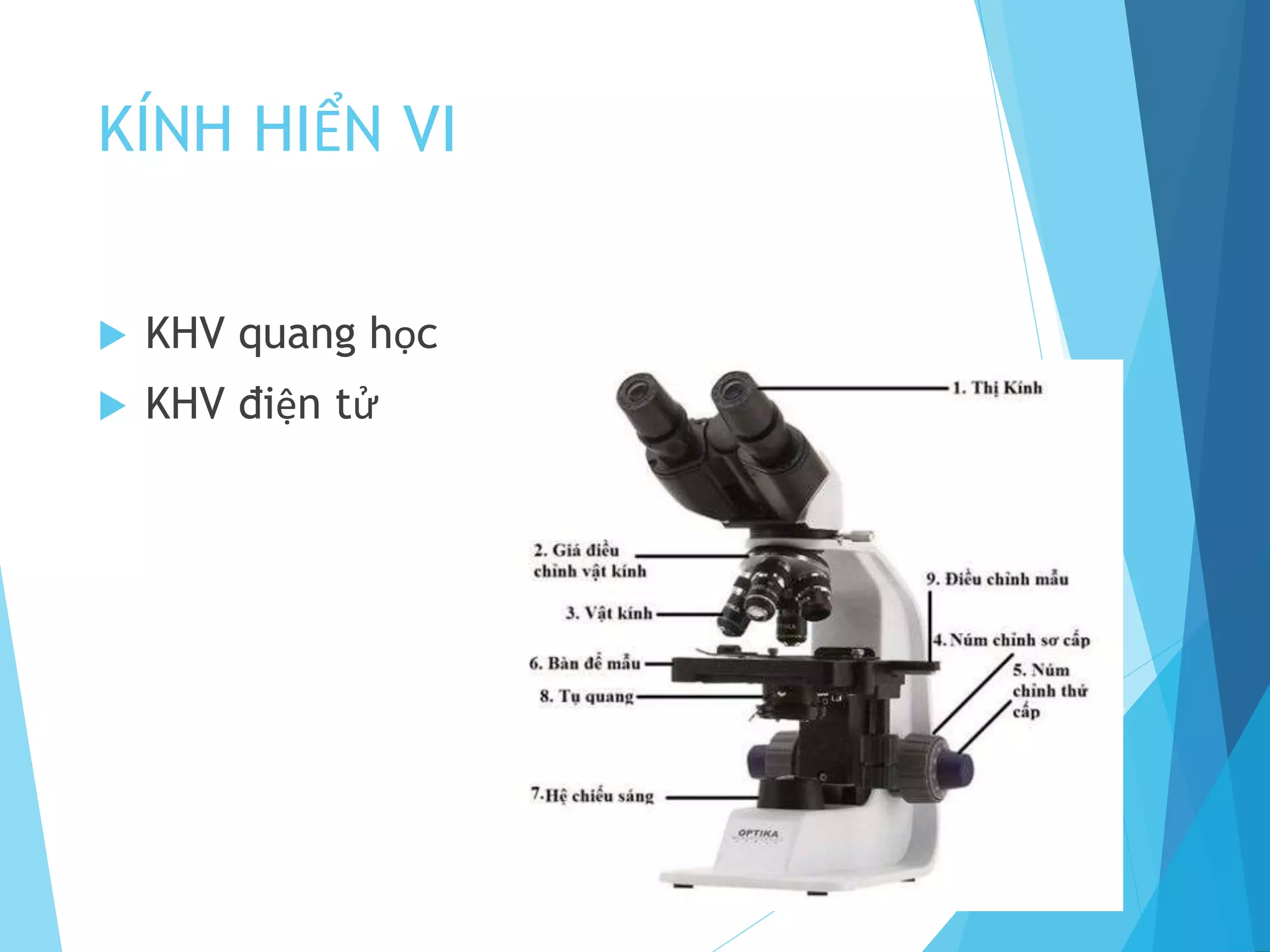 B1 BIEU MO - DHXN.ppt