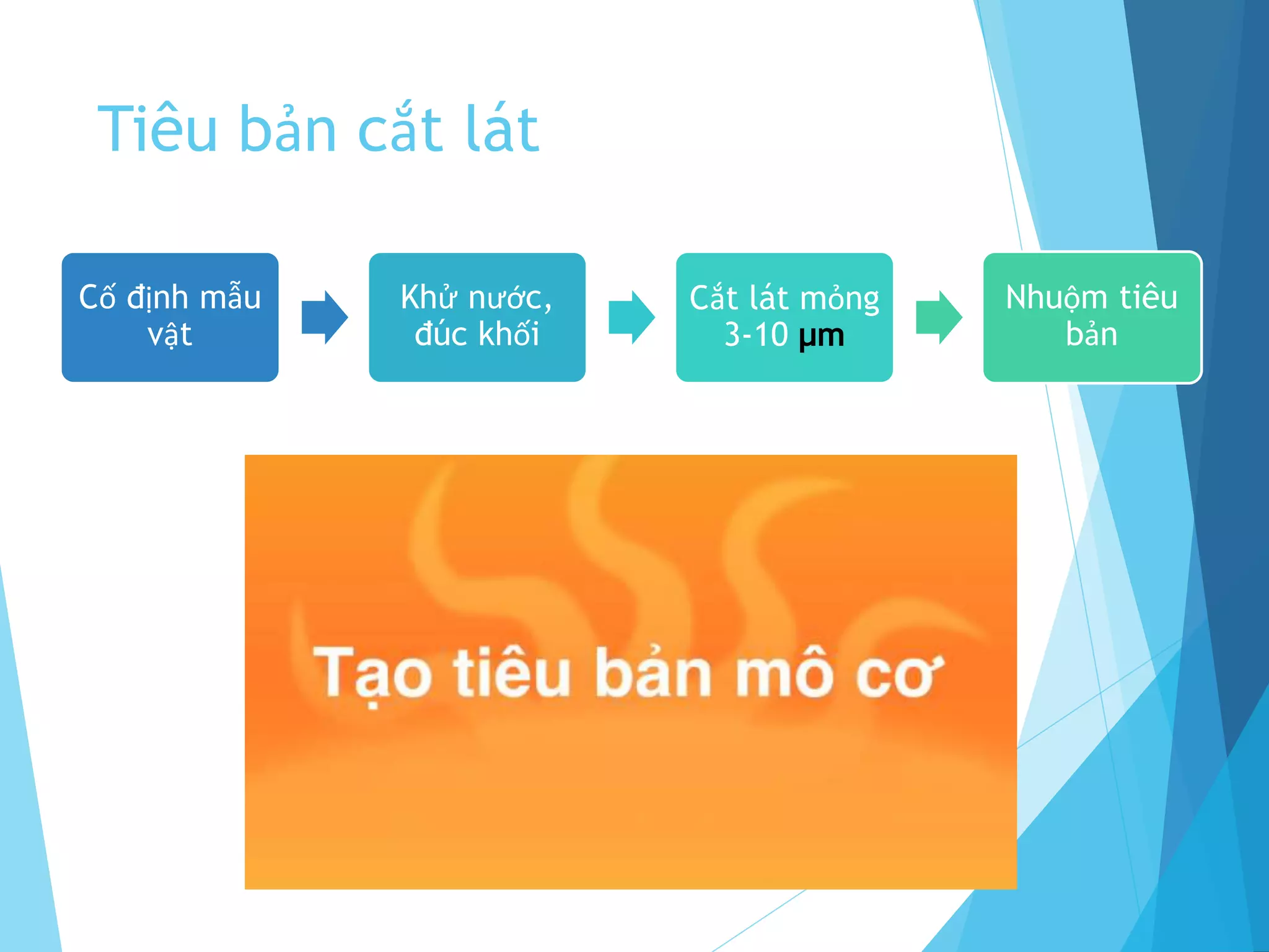 B1 BIEU MO - DHXN.ppt