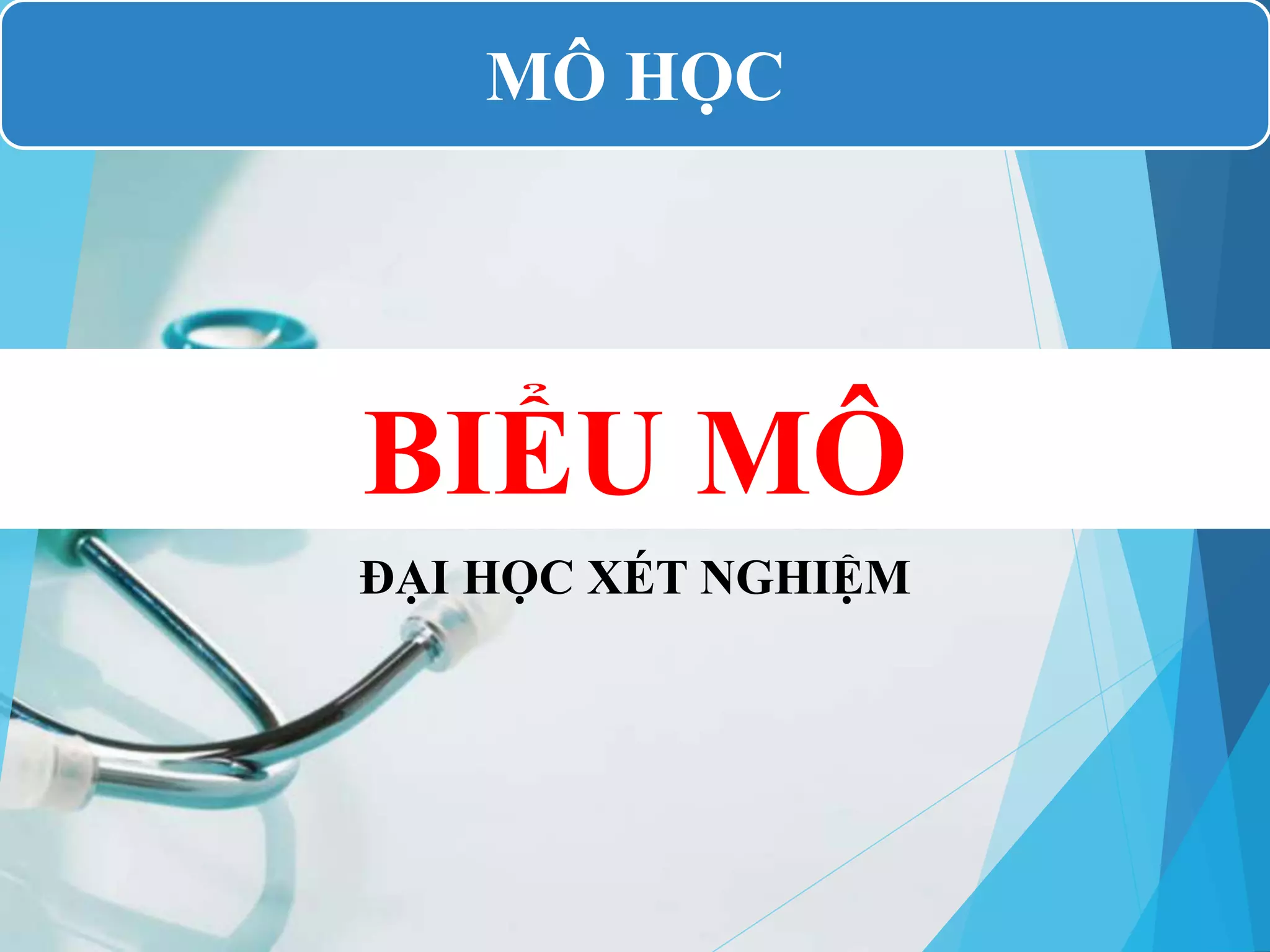 B1 BIEU MO - DHXN.ppt
