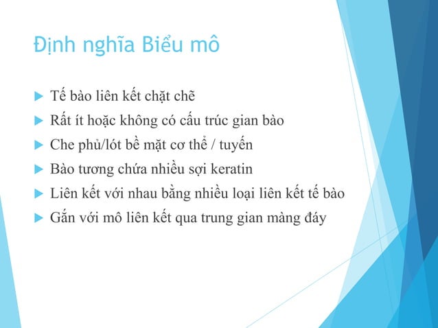 B1 BIEU MO - DHXN.ppt