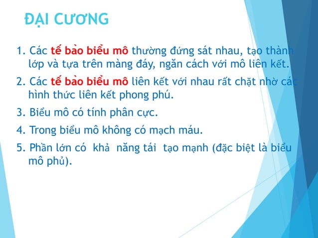 B1 BIEU MO - DHXN.ppt