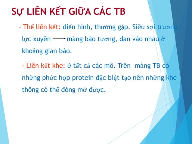 B1 BIEU MO - DHXN.ppt