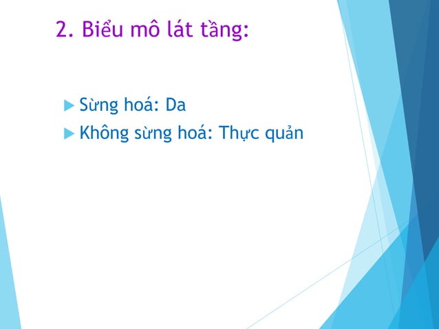 B1 BIEU MO - DHXN.ppt