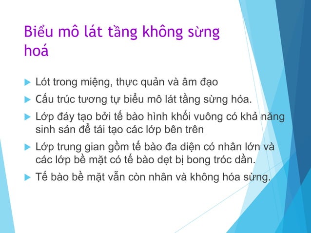 B1 BIEU MO - DHXN.ppt