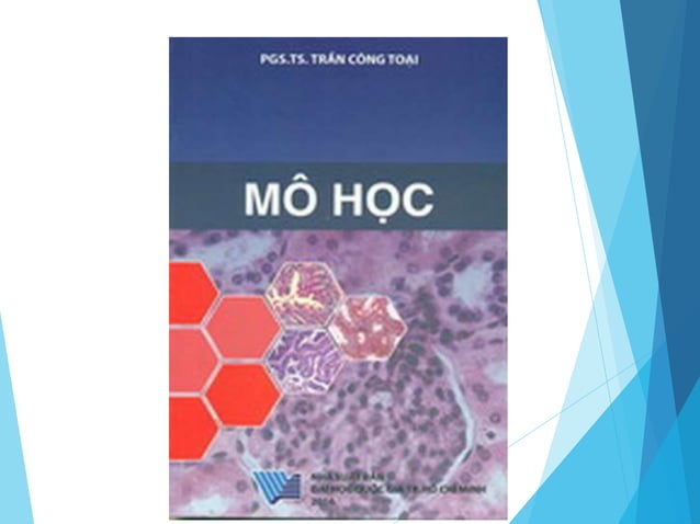 B1 BIEU MO - DHXN.ppt