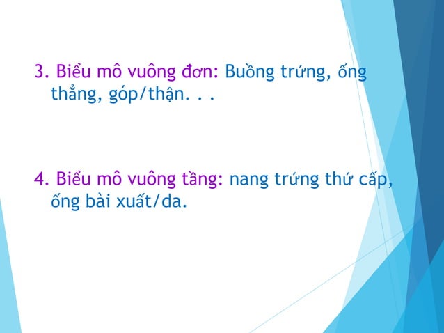 B1 BIEU MO - DHXN.ppt