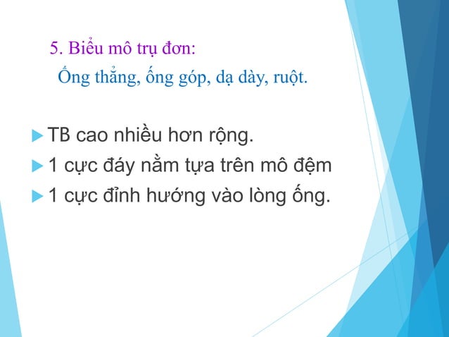 B1 BIEU MO - DHXN.ppt
