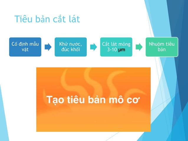 B1 BIEU MO - DHXN.ppt