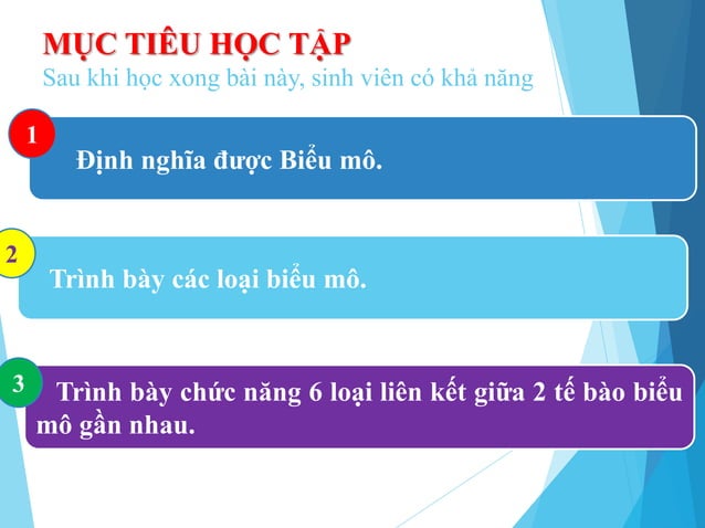 B1 BIEU MO - DHXN.ppt