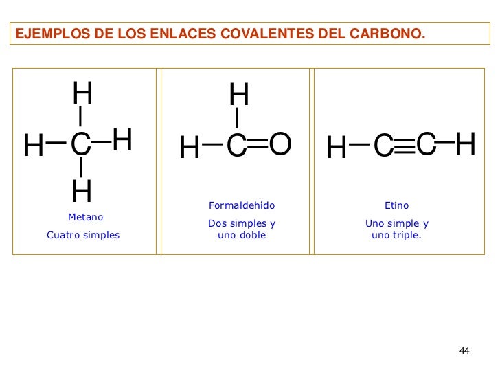 B1 biomoléculas pdf