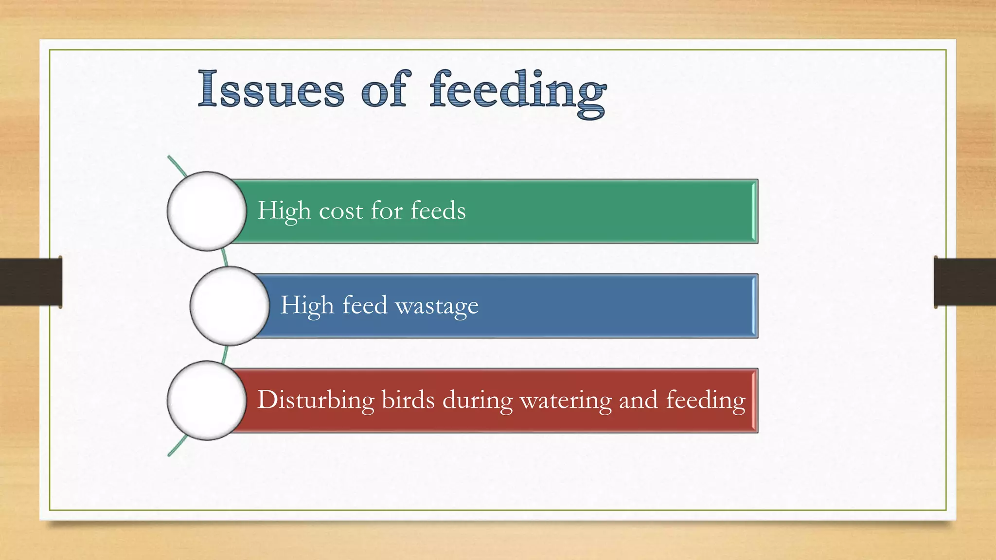 Broiler feeding | PPTX