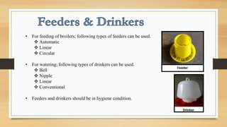 Broiler feeding | PPTX