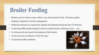 Broiler feeding | PPTX