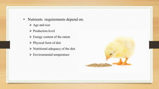 Broiler feeding | PPTX