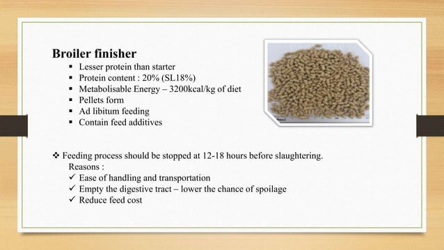 Broiler feeding | PPTX