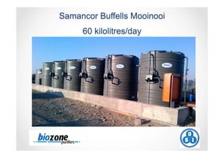 Biozone STP Reference Package | PDF