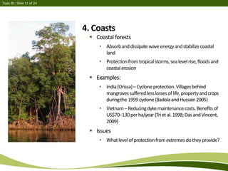 B1_Ecosystem-based_adaptation.ppt