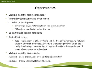B1_Ecosystem-based_adaptation.ppt