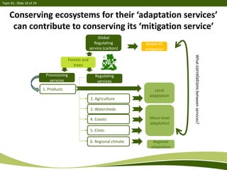 B1_Ecosystem-based_adaptation.ppt