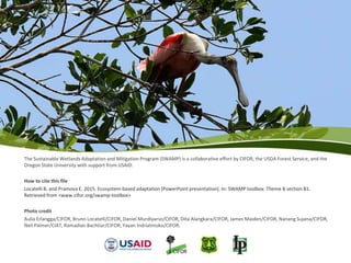 B1_Ecosystem-based_adaptation.ppt