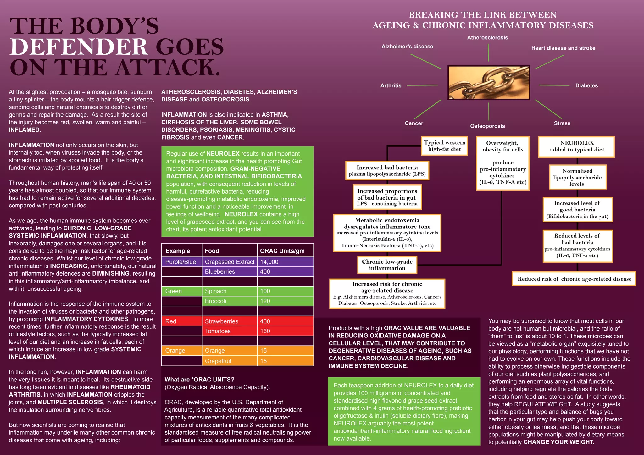 Neurolex brochure | PDF