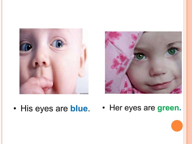 Physical description | PPT