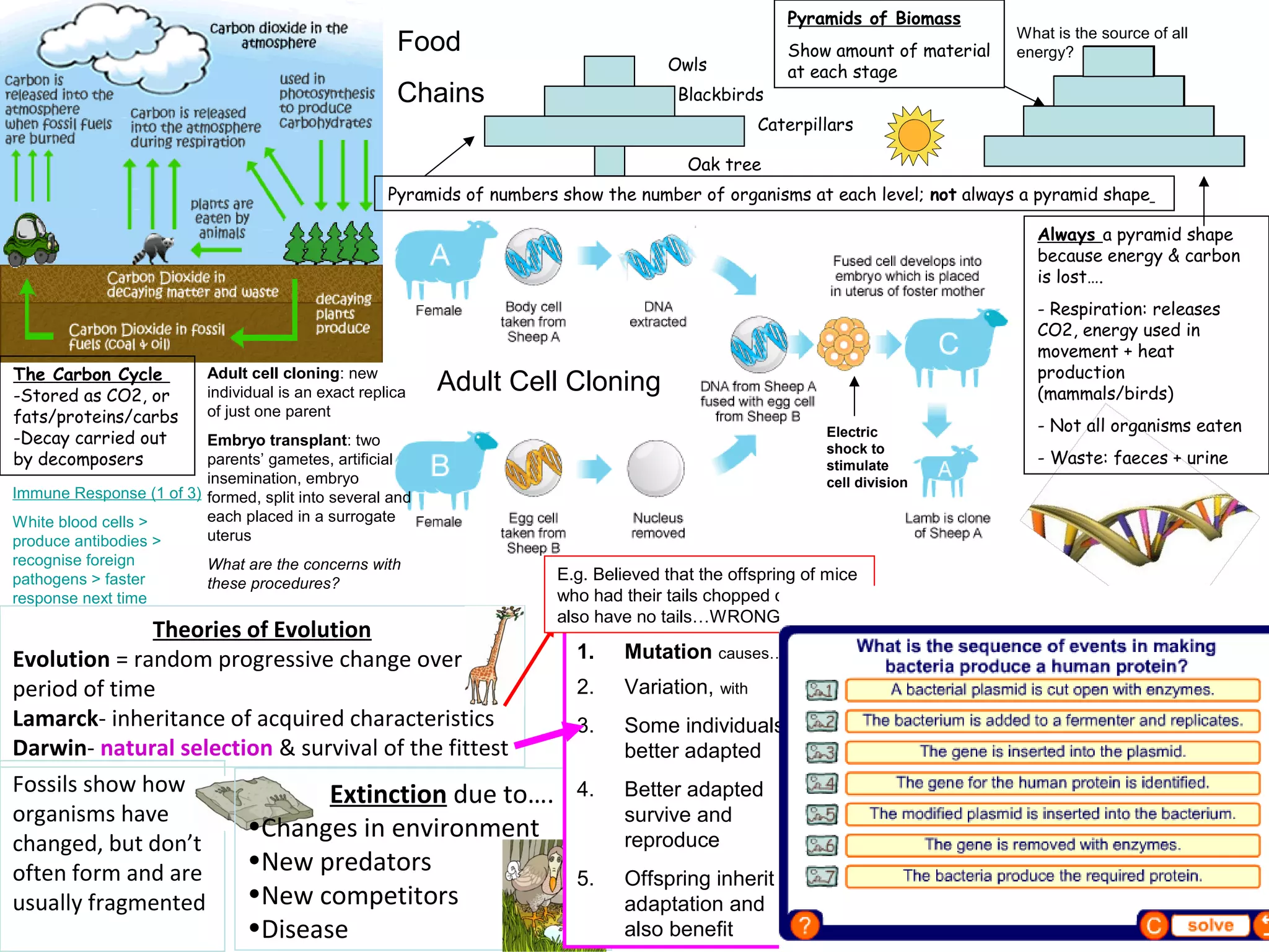 Biology: B1 Revision (AQA) | PPT