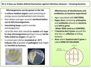 AQA GCSE Science: Biology B1 Revision | PPTX