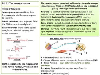 AQA GCSE Science: Biology B1 Revision | PPTX