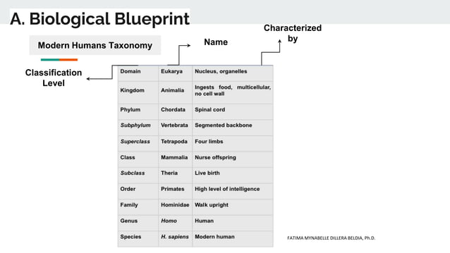 B1 The Biological Blue Print.pptx