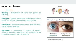 B1 The Biological Blue Print.pptx