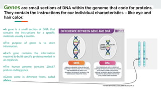 B1 The Biological Blue Print.pptx