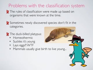 #1 B1 topic 1 - classification (part 1 of 2) | PDF