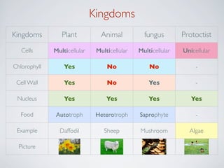 #1 B1 topic 1 - classification (part 1 of 2) | PDF