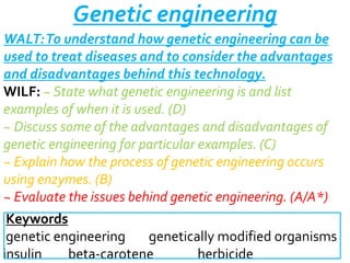 B2.6 genetic engineering | PPT