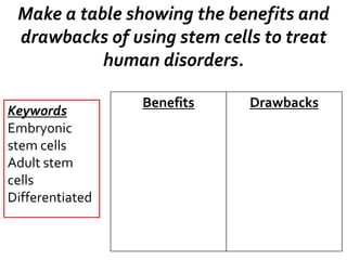 B2.9 stem cells | PPT