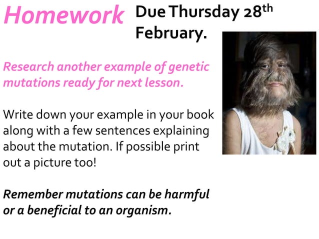 B2.11 mutations | PPT